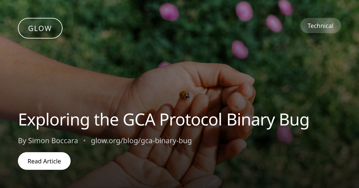 Exploring the GCA Protocol Binary Bug | Glow Blog