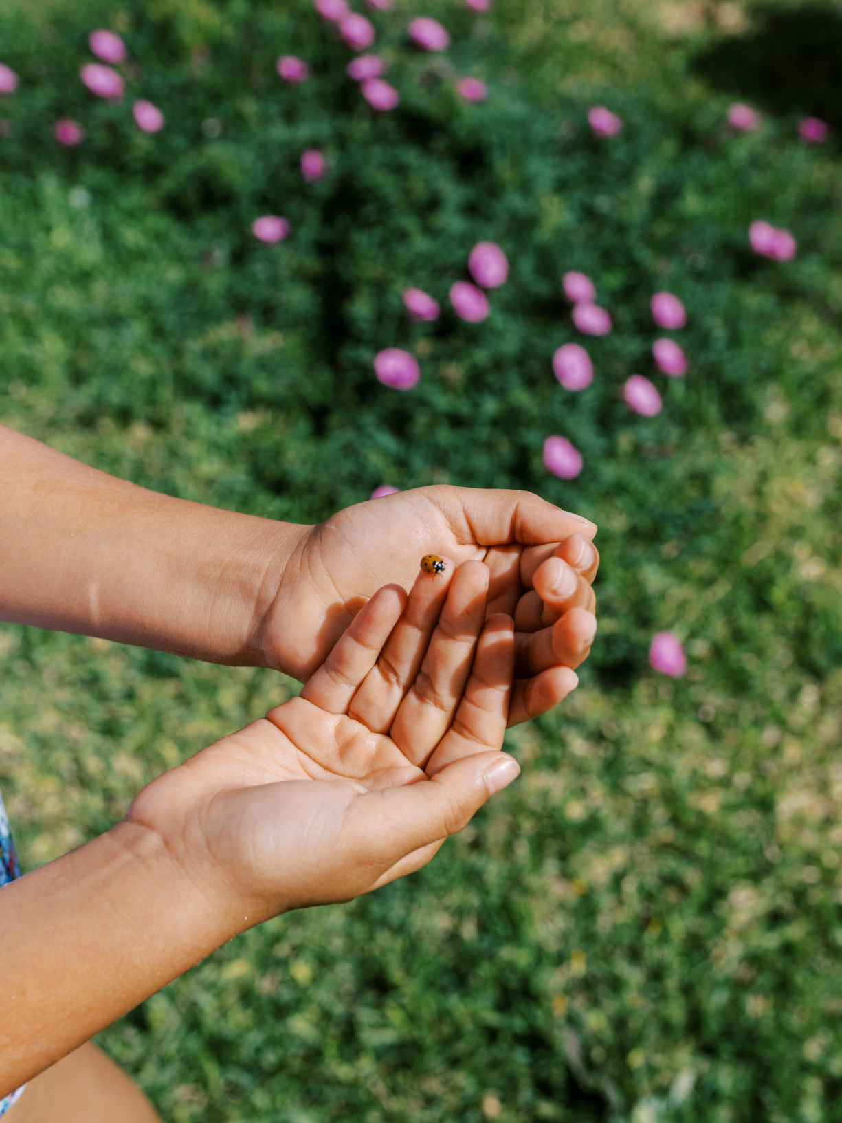 Exploring the GCA Protocol Binary Bug | Glow Blog