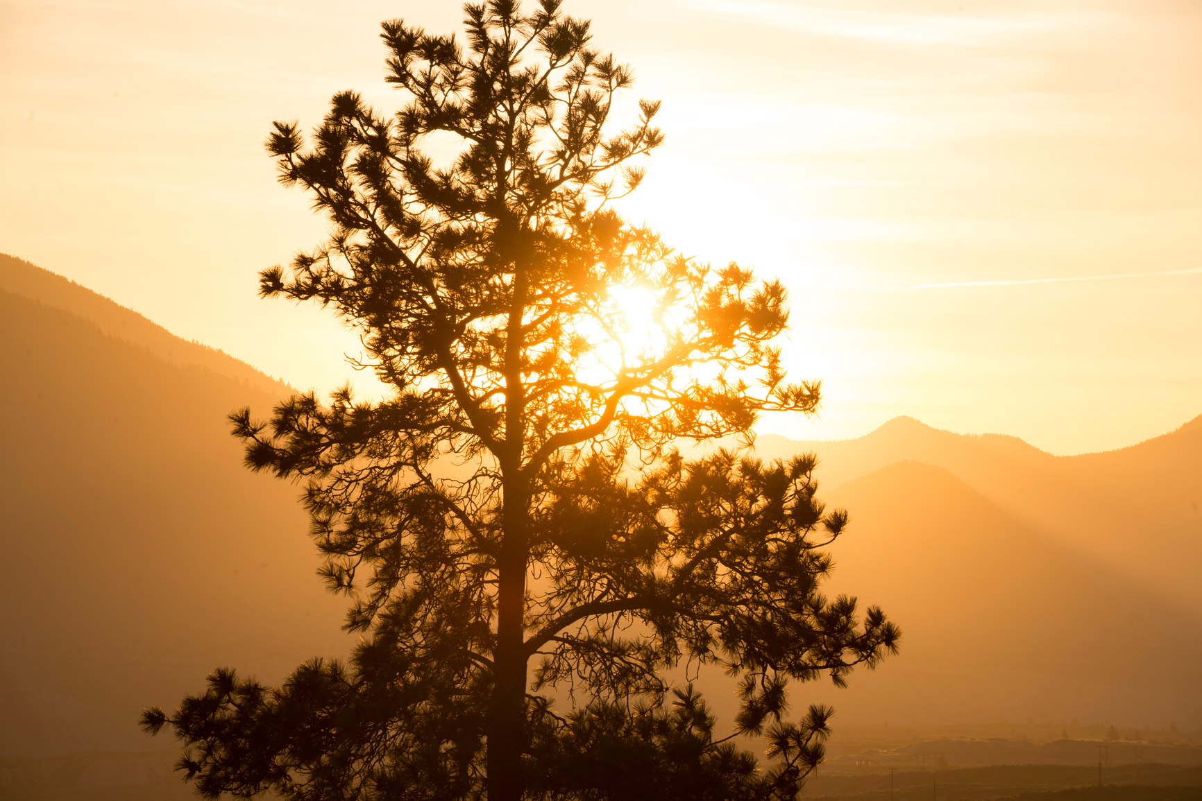 There and Back Again | Glow Blog